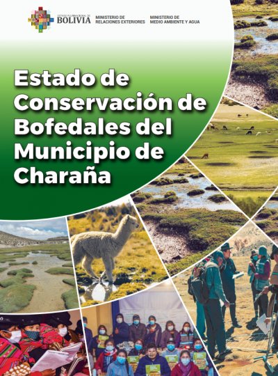 Biblioteca del Agua - MMAyA - SIARH